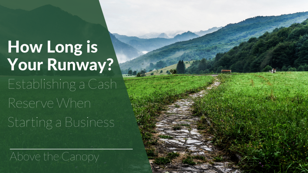 How to Establish a Cash Reserve When Starting a Business