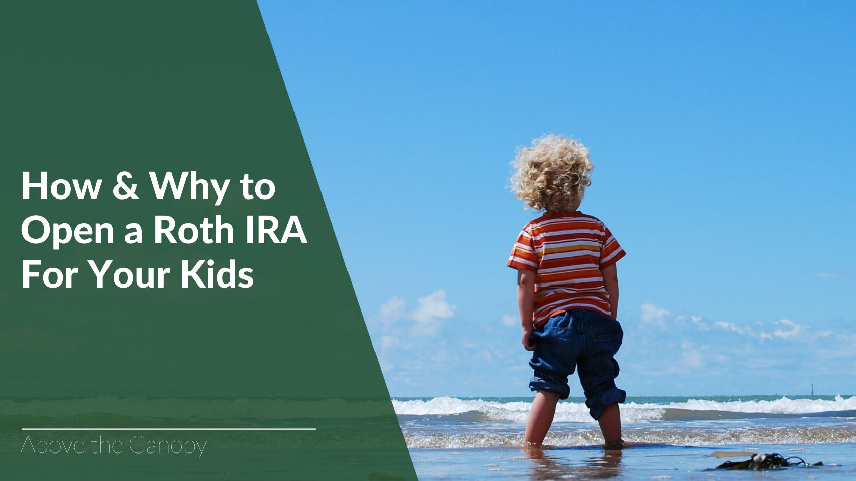 How & Why to Open a Roth IRA For Your Kids - Above the Canopy