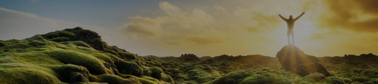 72t Distributions: The Ultimate Guide to Early Retirement